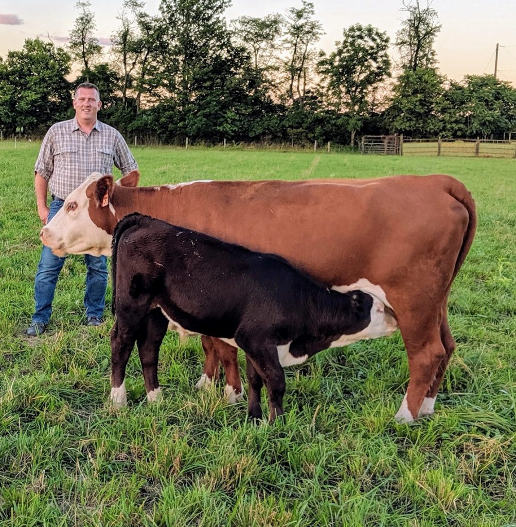 Sherman Beef Cattle - Tennessee Black Hereford Association